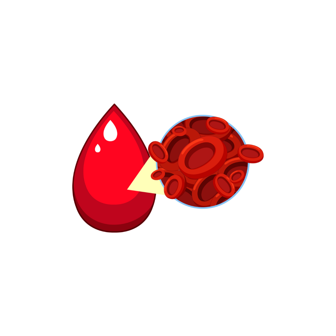 Blood Typing Simulation - MedhaVatika